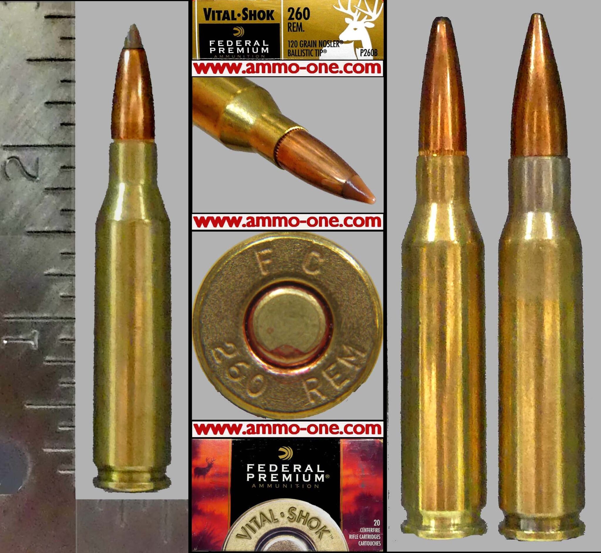 .260 Remington, "F.C." H/S by Federal, Ballistic Tip, One Cartridge not ...