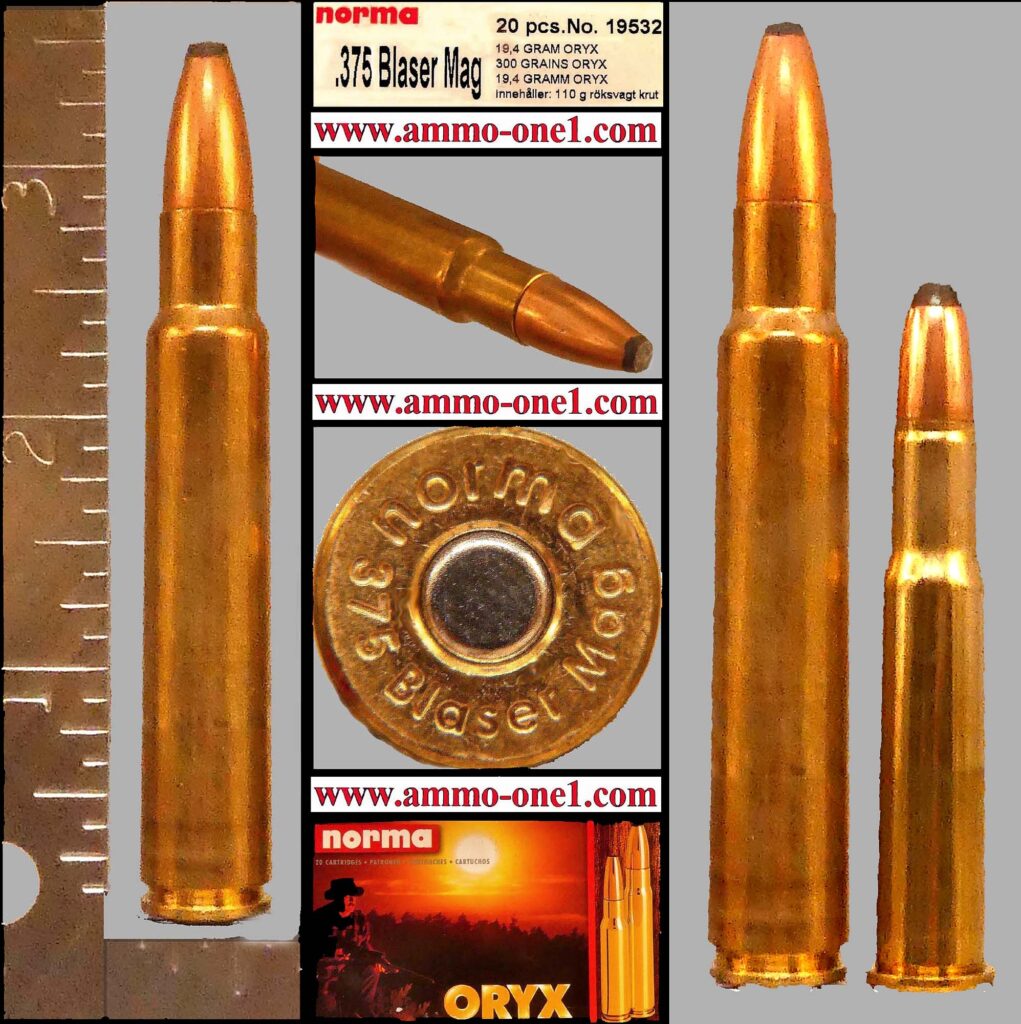 .375 Blaser Magnum by Norma, 300gr. ORYX, One Cartridge not a Box ...