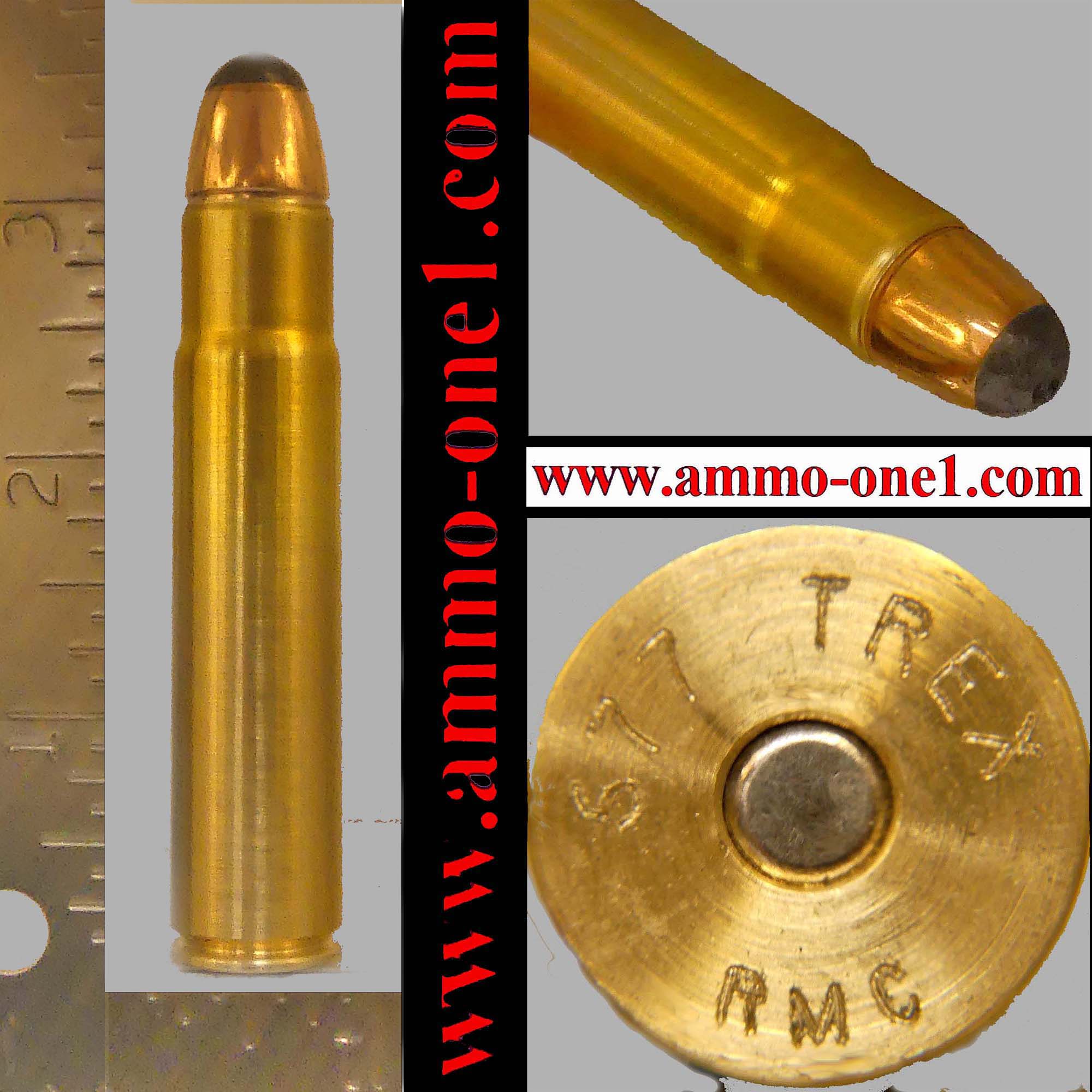 .577 Tyrannosaur, "577 TREX RMC" H/S, 750 grain J.S.P.,"LIVE", One ...