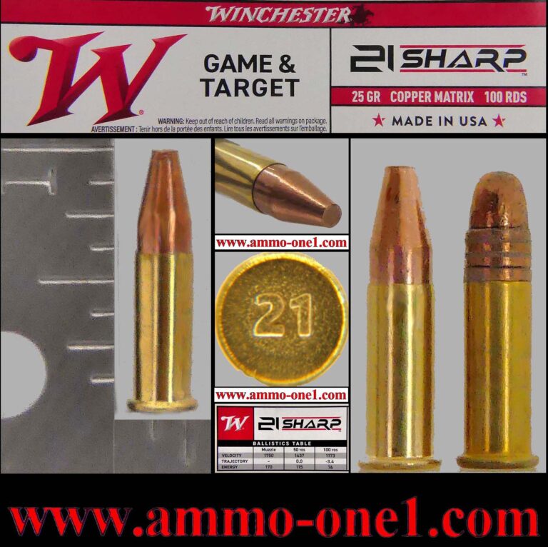 .21 Sharp™ Rimfire Cartridge by Winchester, with "21"Headstamp and ...